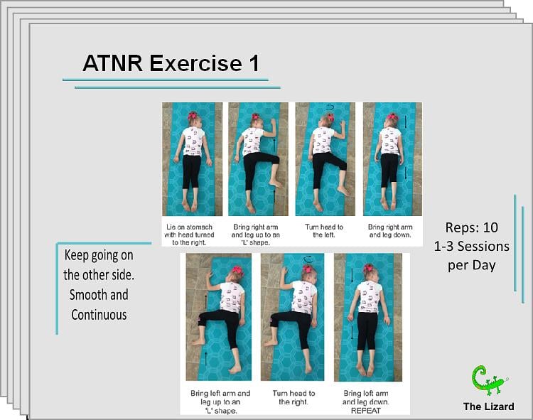 Primitive Reflex Cards 2021 Instant Download