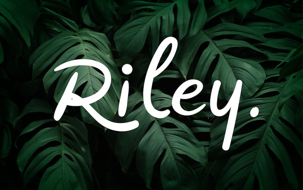Free! Riley Font ( PERSONAL USE ONLY )