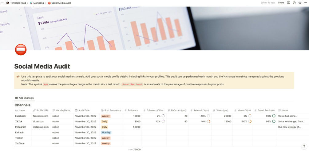 Notion - Social Media Audit Template