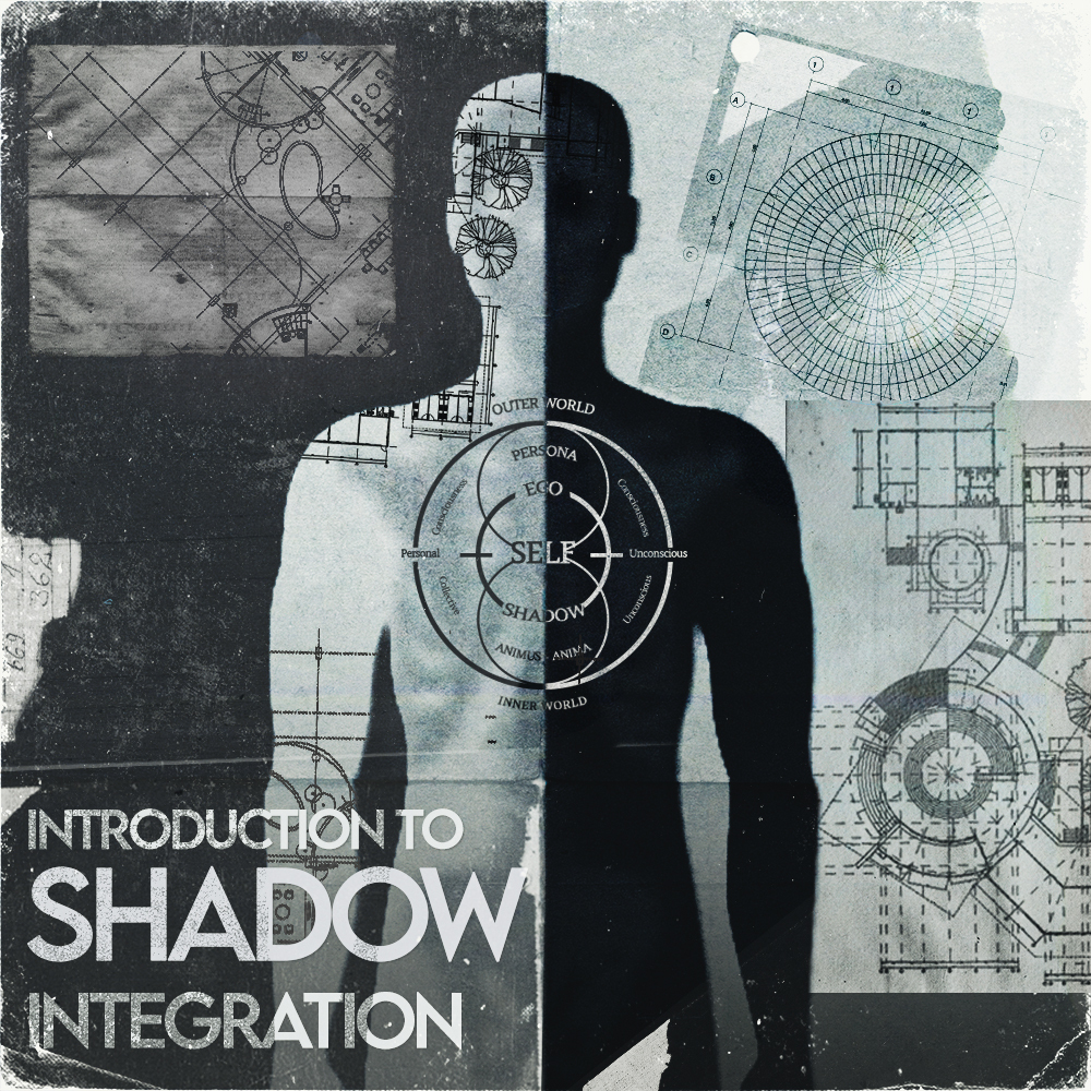 Introduction to Shadow Integration