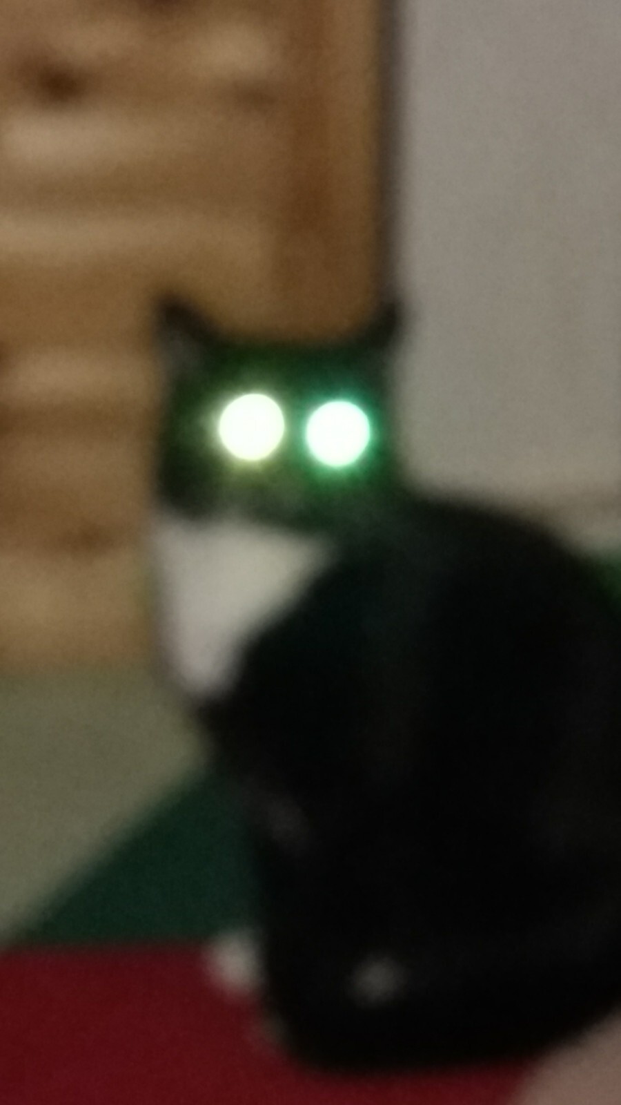 How to tell if your cat is charged