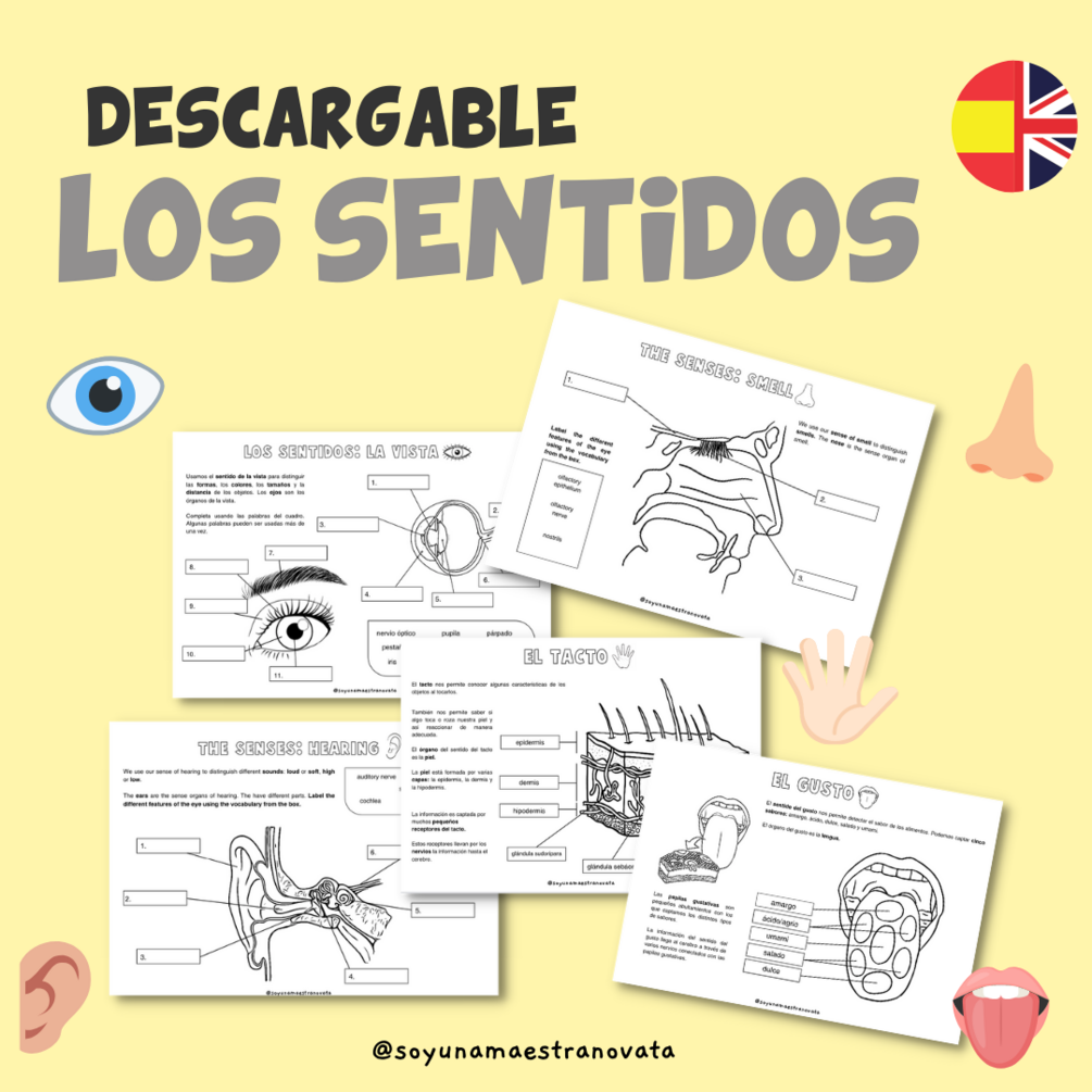FICHAS LOS SENTIDOS
