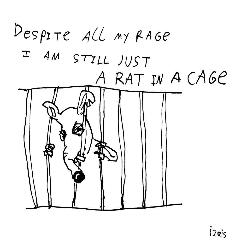 2015 @izo.is Despite all my rage I am still just a rat in a cage