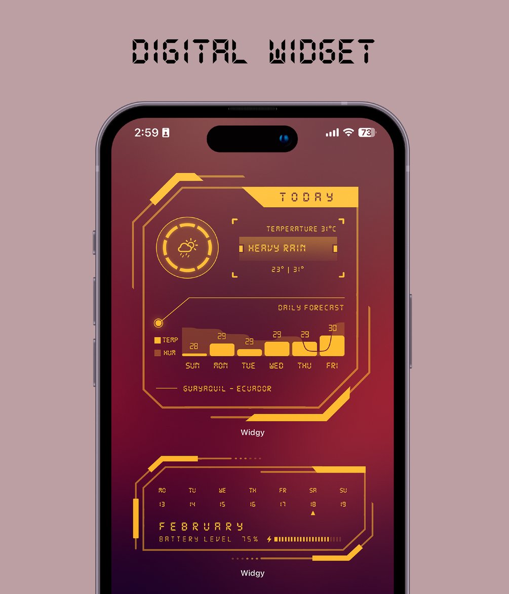 Digital Widget
