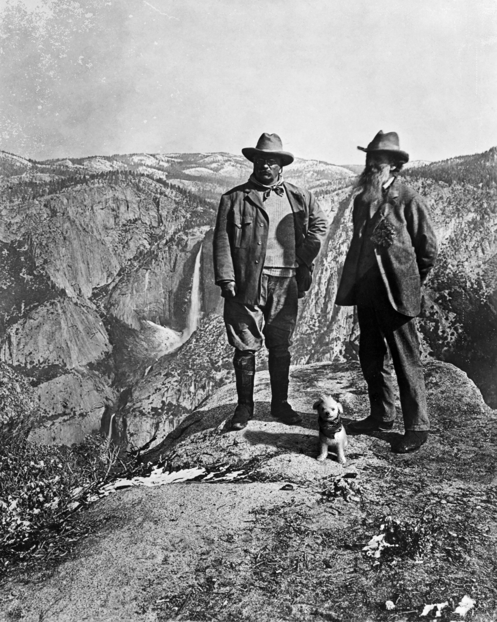 Roosevelt, Muir & Riley at Yosemite