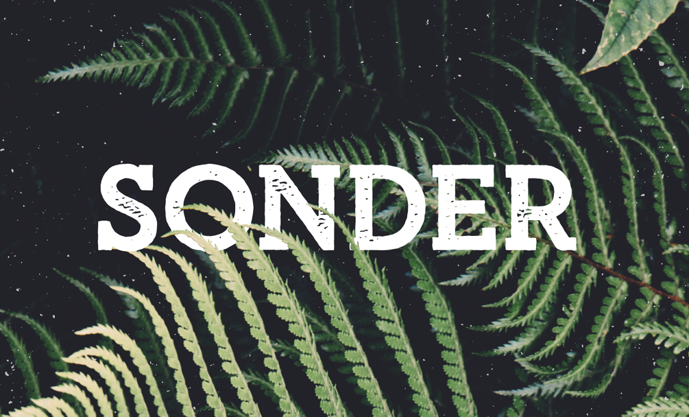 Sonder - Full Type Family
