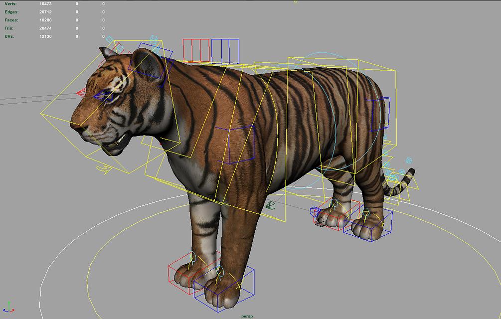 Maya Tiger Rig