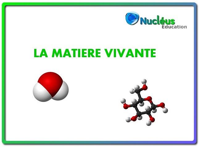 2- La matière vivante
