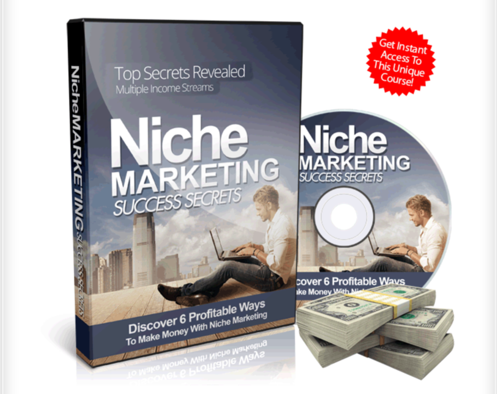 Niche Marketing Success Secrets