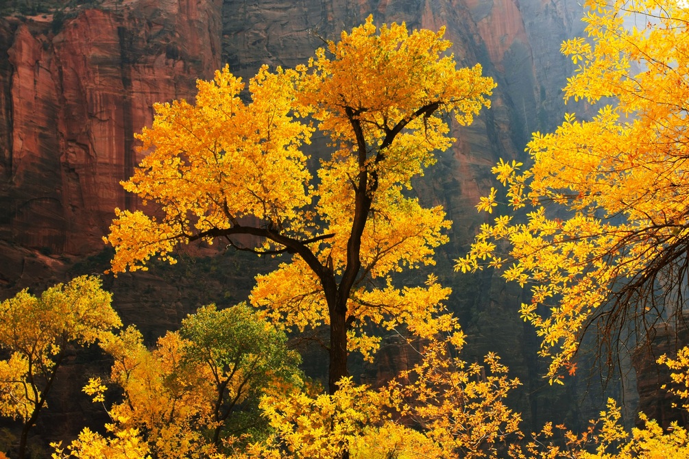 Landscapes08 12x18 print