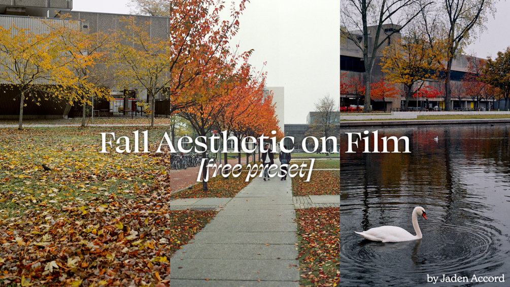 [FREE] Fall Aesthetic Film Preset (for Lightroom)