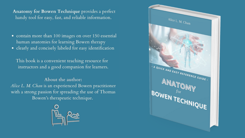 Anatomy for Bowen Technique
