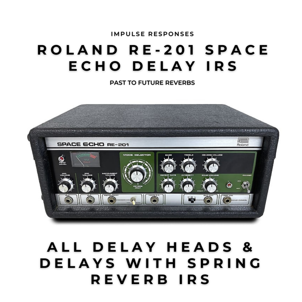 ROLAND RE-201 SPACE ECHO DELAY IRS!