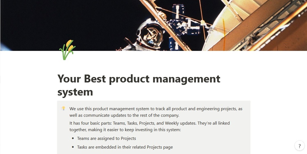 Your Best product management template