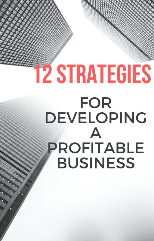 12 STRATEGIES TO DEVELOPING A PROFITABLE BUSINESS