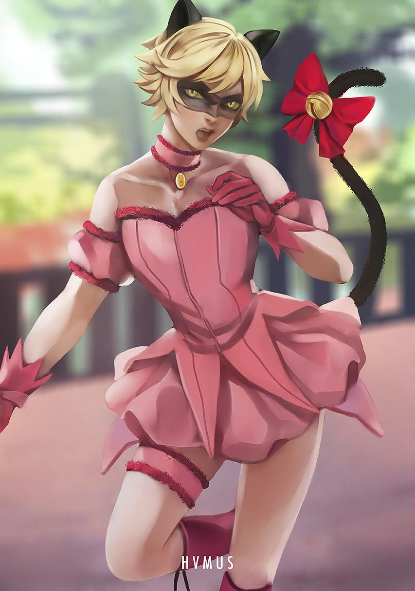 cat-ichigo