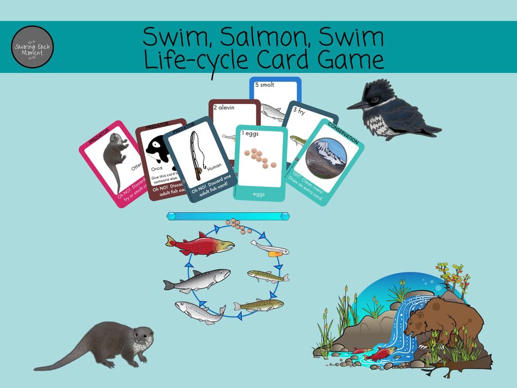 Swim, Salmon, Swim Life-cycle Game