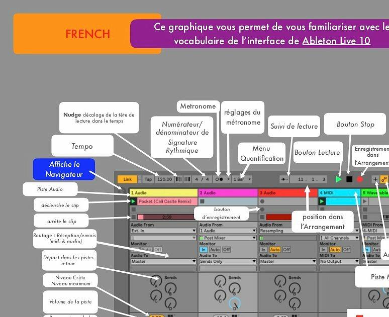 Ableton Live 10 Interface