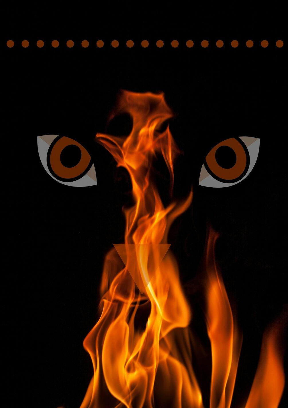 gold-eyes-cat