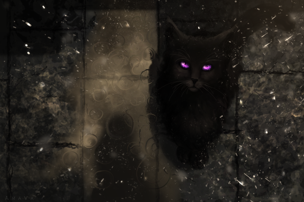 Black Cat 3K - Extra