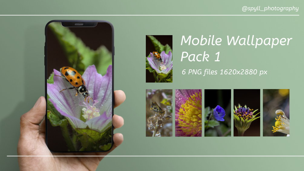 Mobile Wallpaper Pack Series One - Spyll Photography