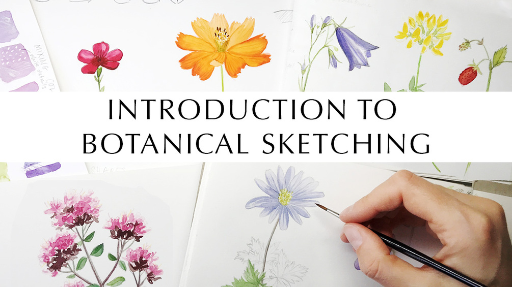 Wildflowers in Watercolor and Ink: Introduction to Botanical Sketching