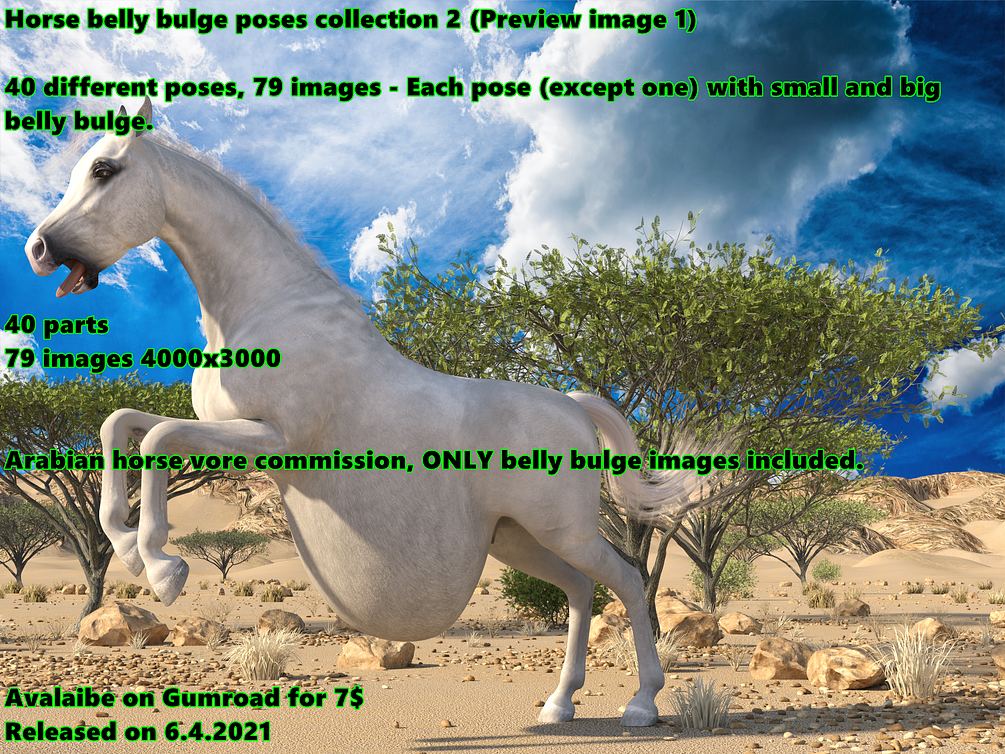 Horse belly bulge collection 2
