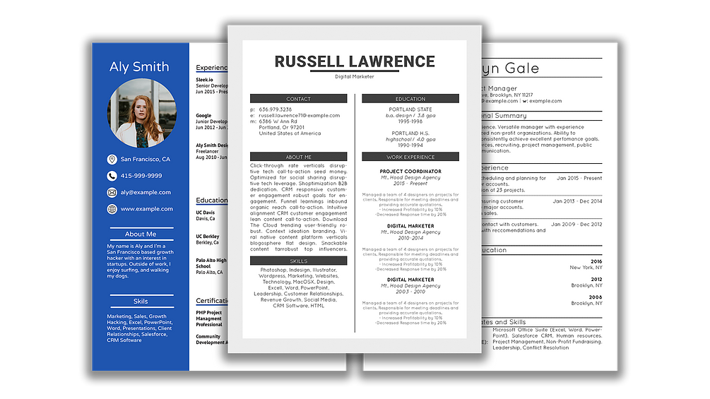 8 Pack - Elite Resume Templates