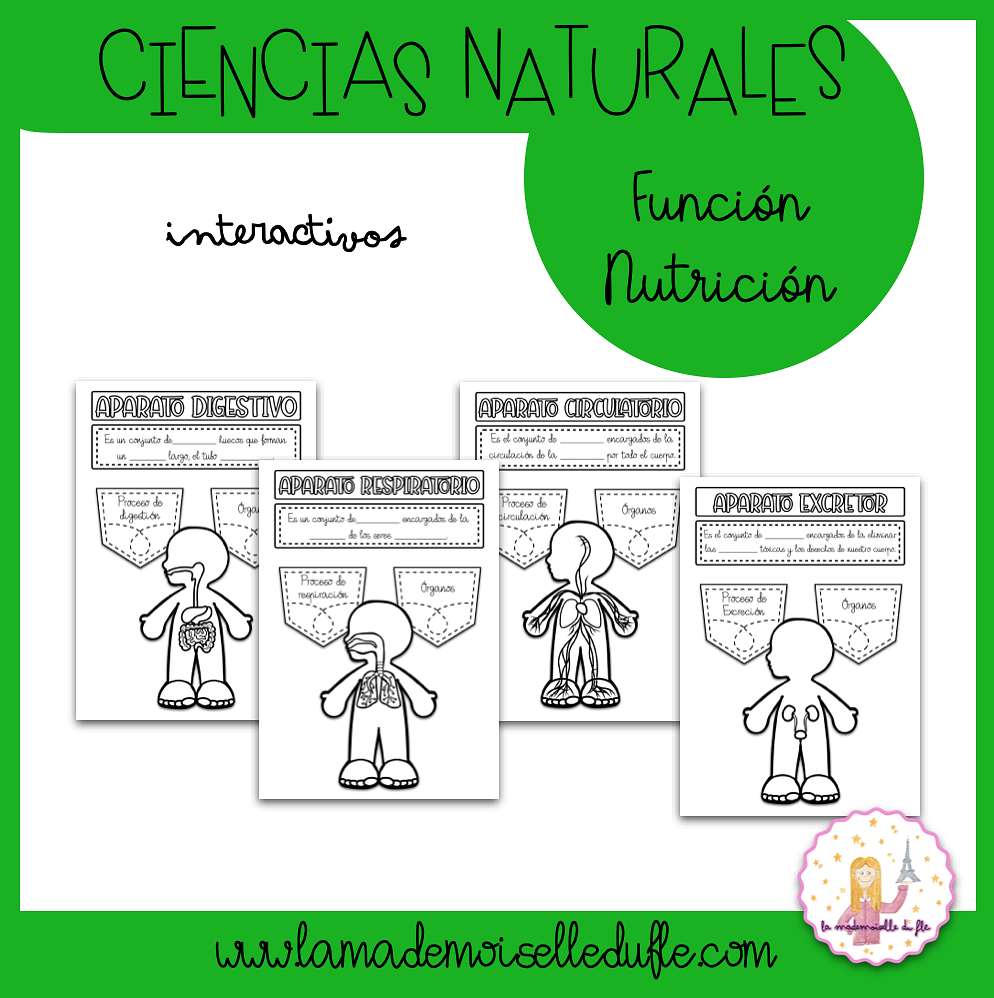 Función de nutrición - Aparatos