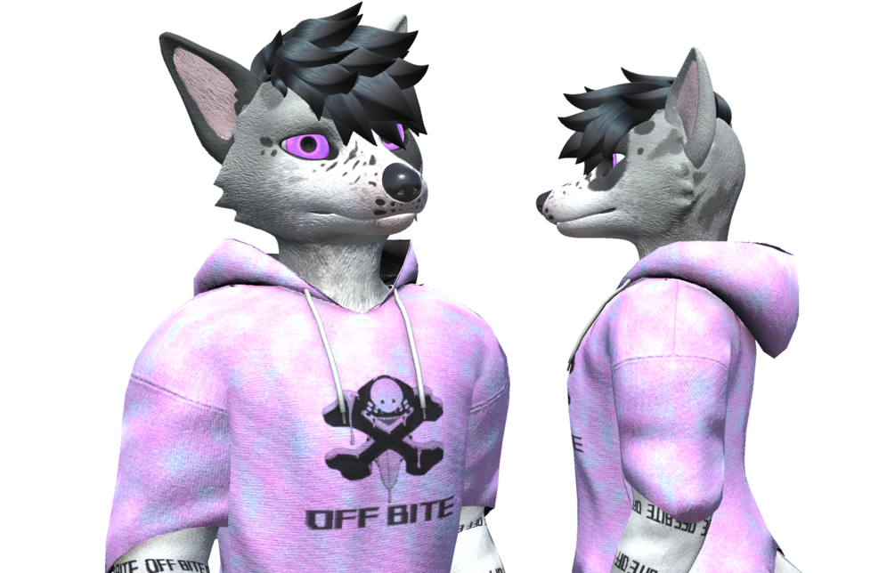 Hoodie for Canis Woof and Rexouium