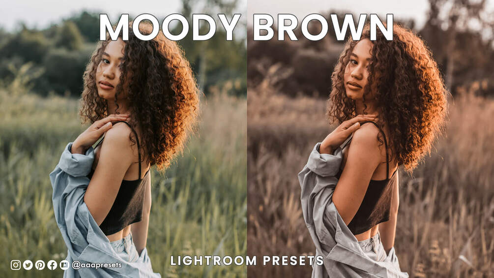 Moody Brown Free Lightroom Presets