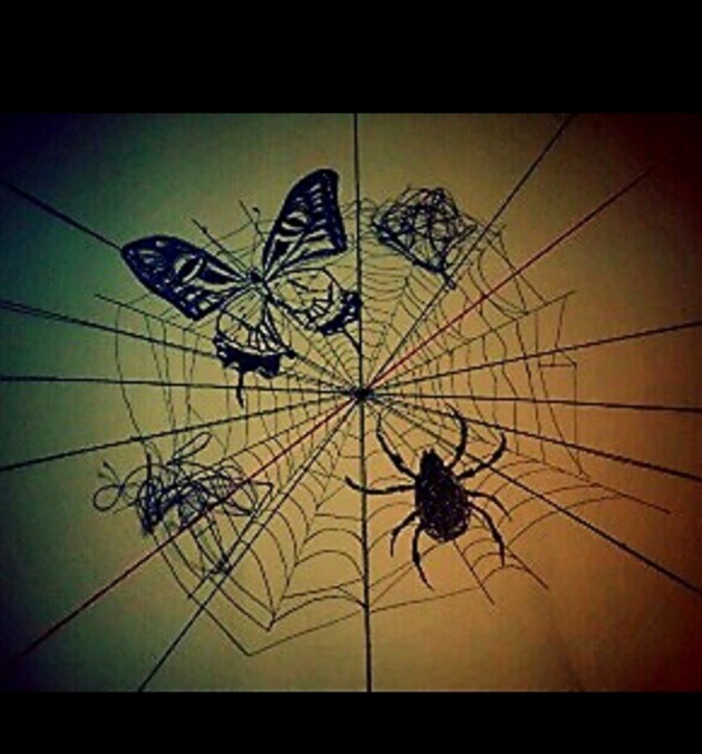 Butterfly.Spider.An illustration
