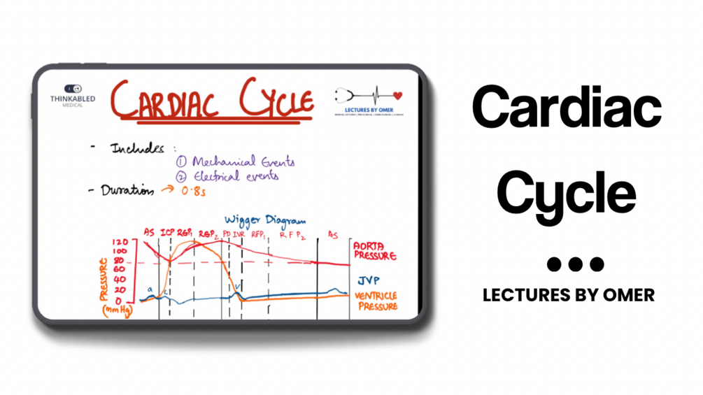 Cardiac Cycle | Physiology Note | Lectures by Omer