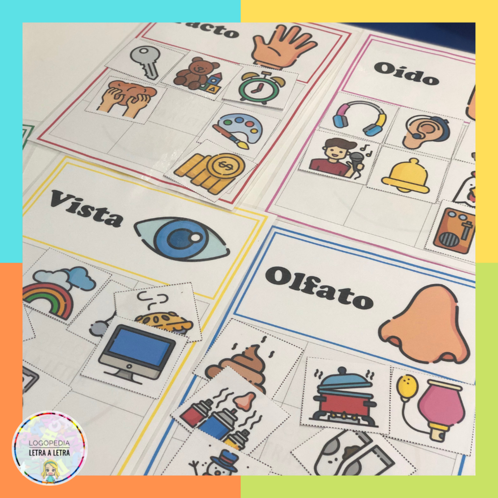 Los sentidos (gusto, olfato, tacto, vista, oído)