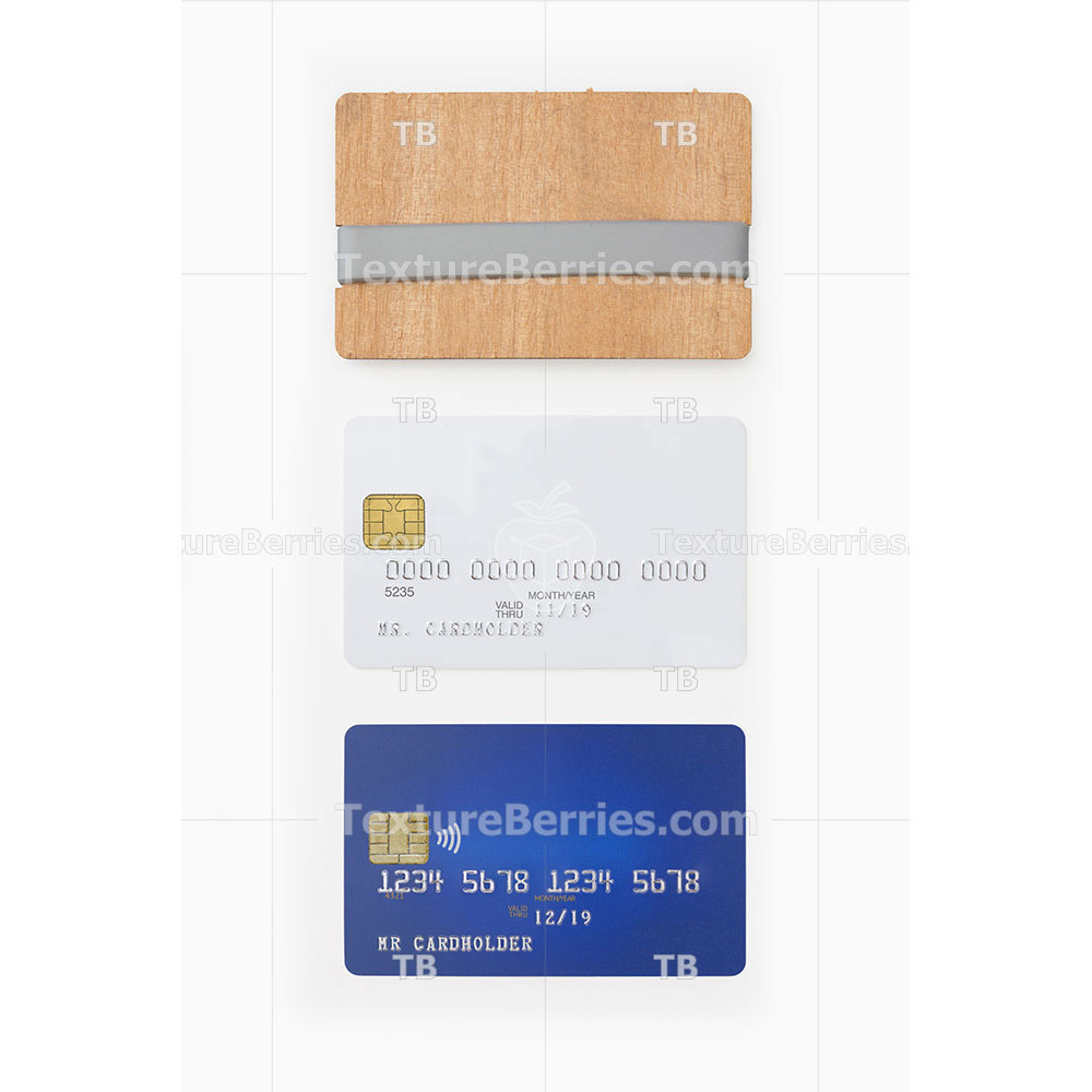 Blank blue and white credit cards and stylish card holder