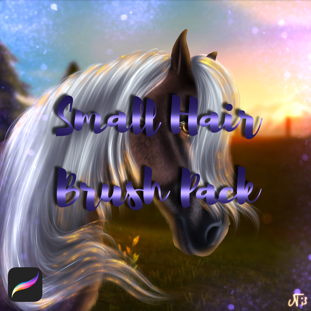 JT‘s Free Hair Brushes