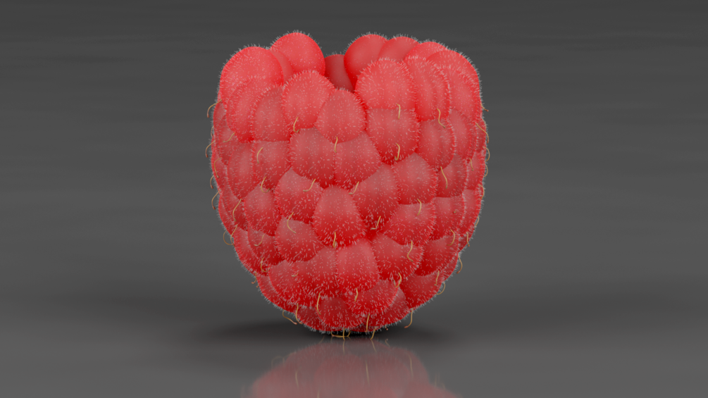 Raspberry in Blender Sample