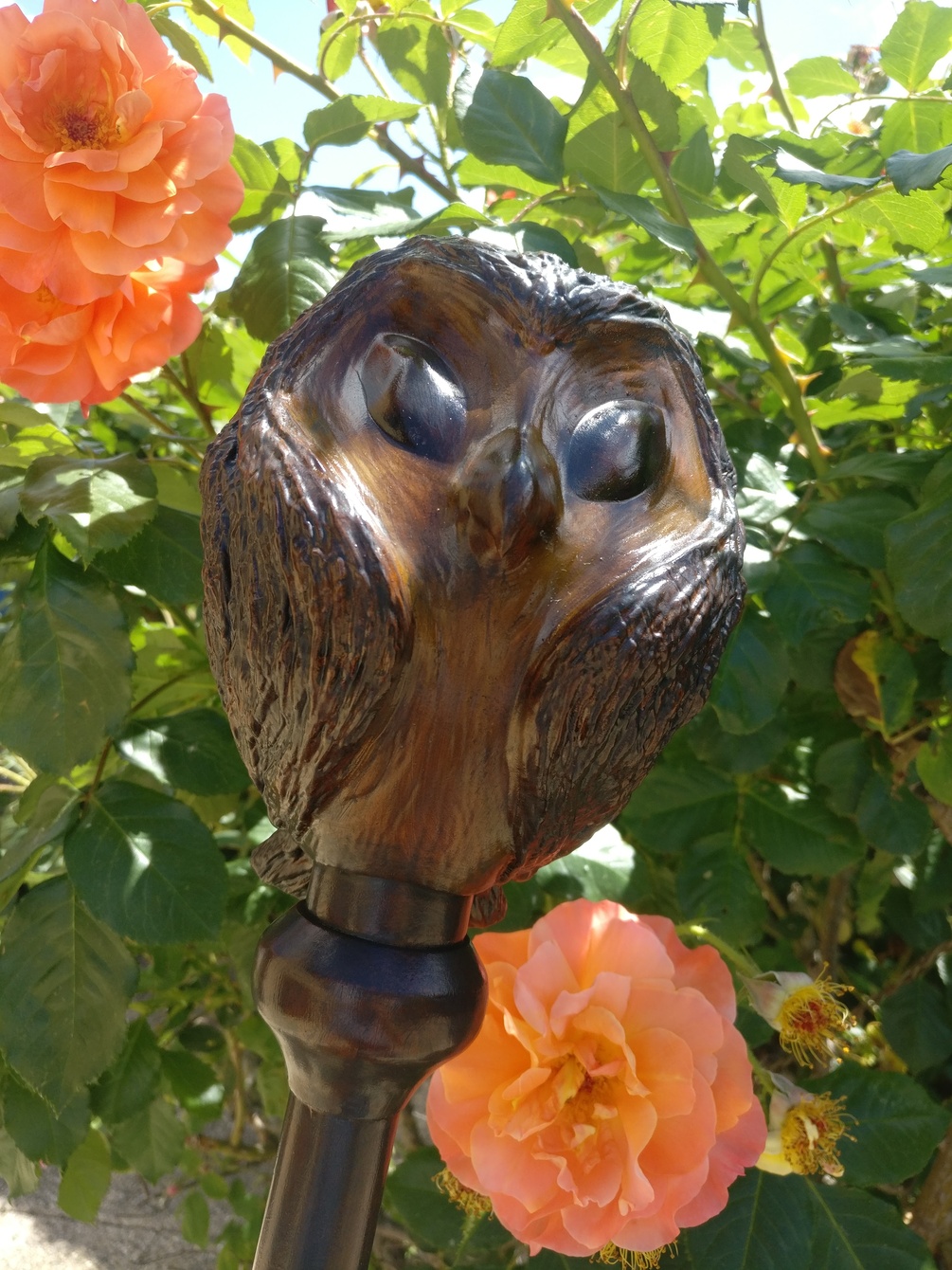 The Owl House - Owlbert - Eda/Owl Lady's Palisman