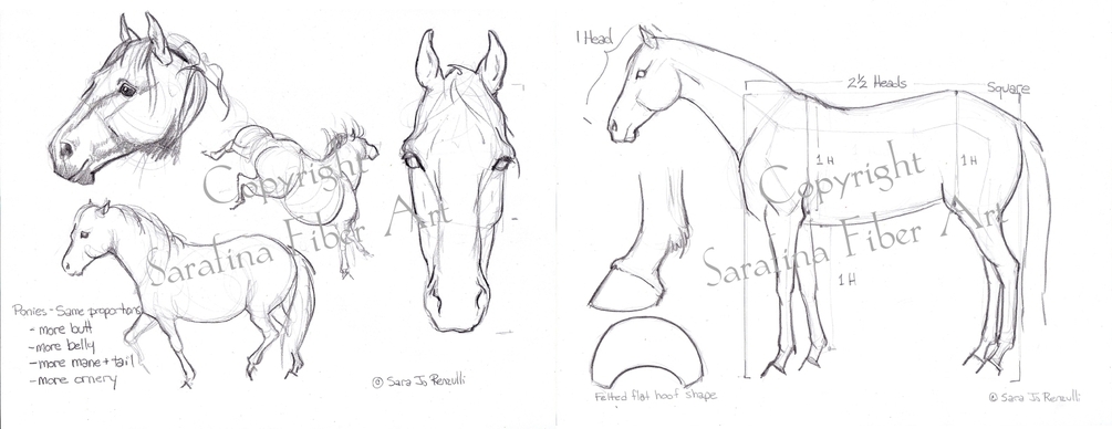 Horse Reference Chart