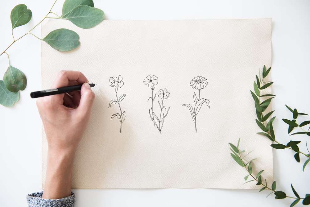 Three Line Art Floral Illustrations