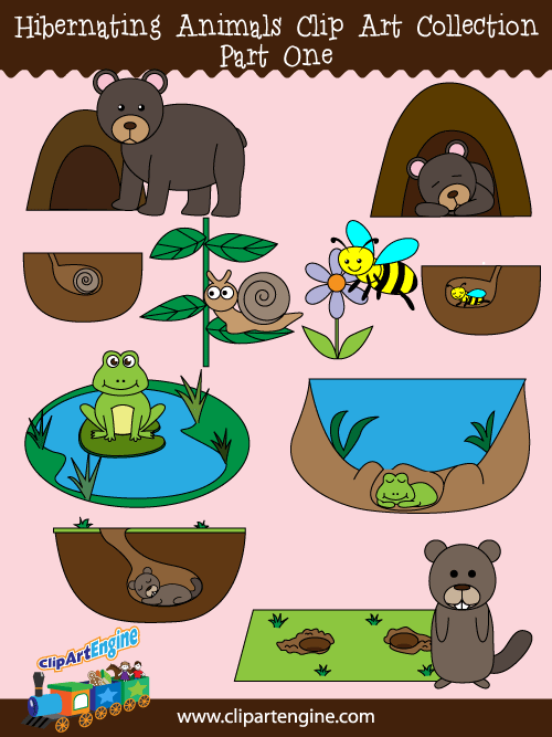 Hibernating Animals Clip Art Collection (Part 1)