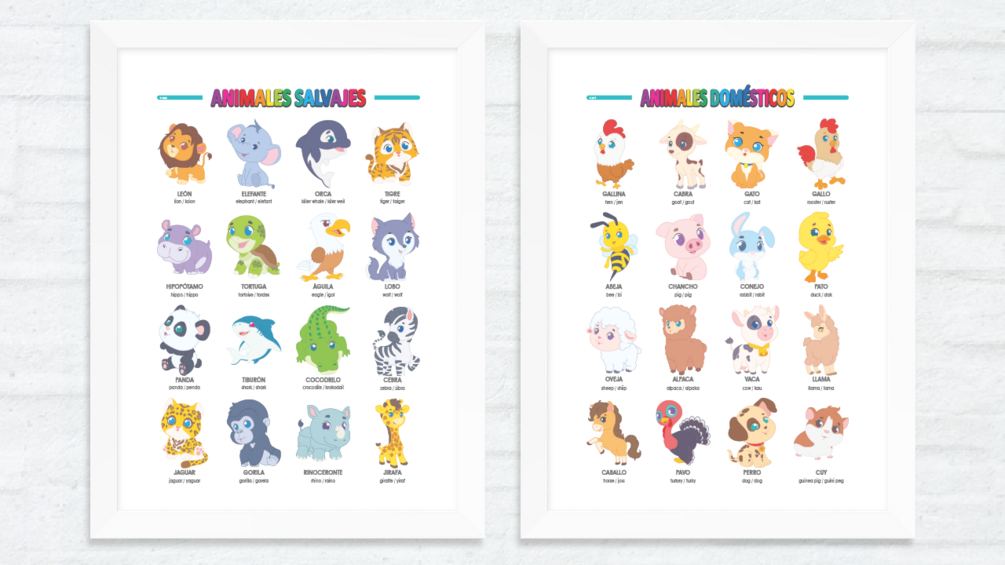 Lámina animales domésticos y salvajes