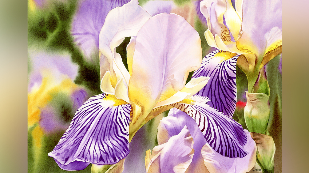 Amethyst Iris