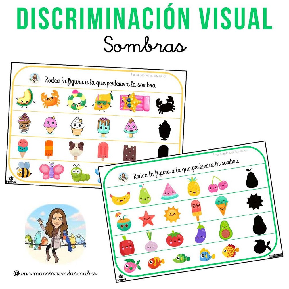 Discriminación visual