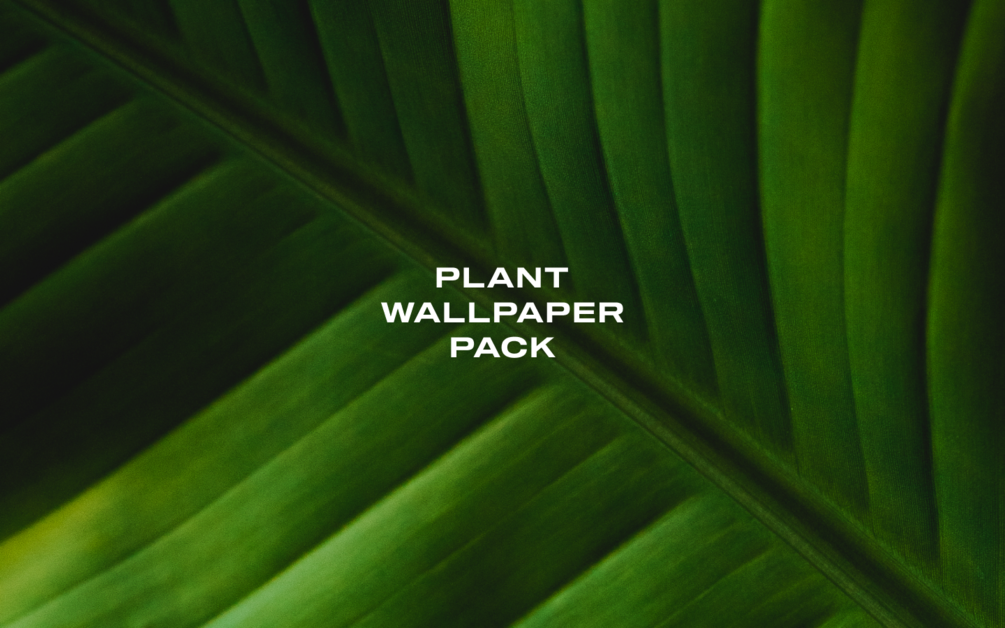 Plant Wallpaper Pack