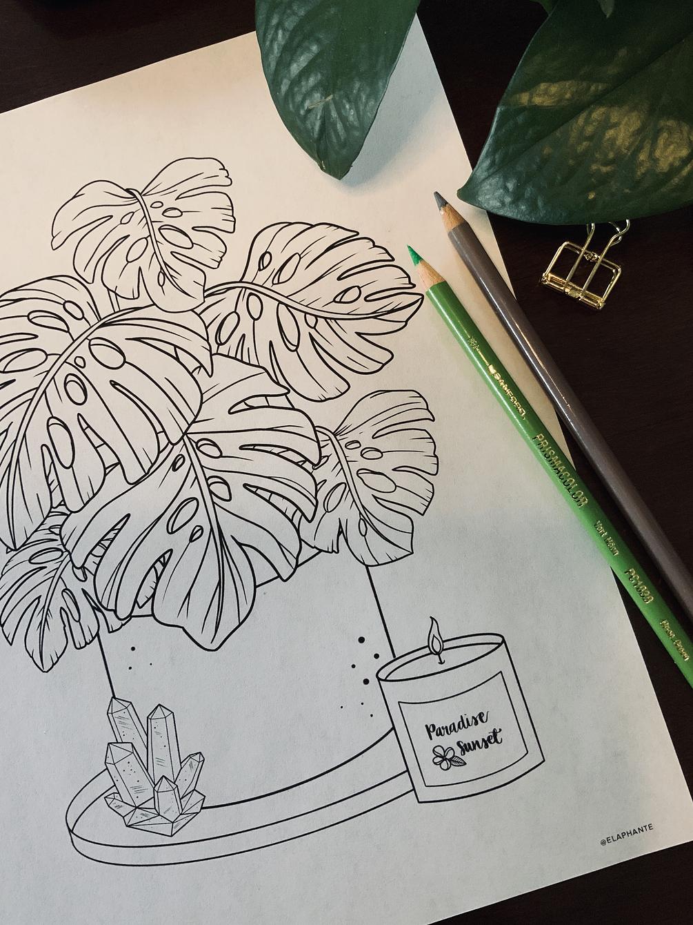 Monstera Coloring page
