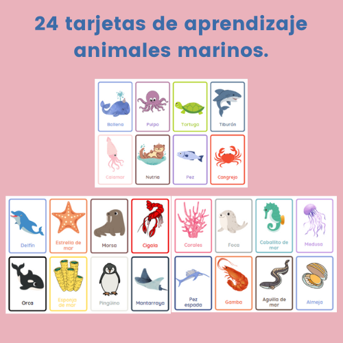 24 tarjetas de animales marinos