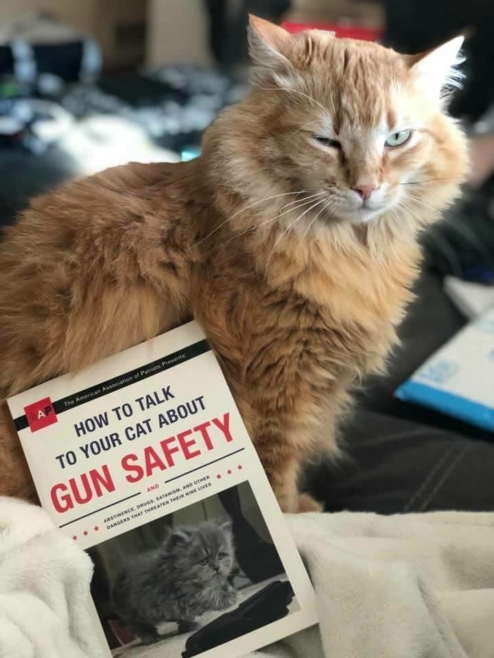 How to Talk to Your Cat About Gun Safety