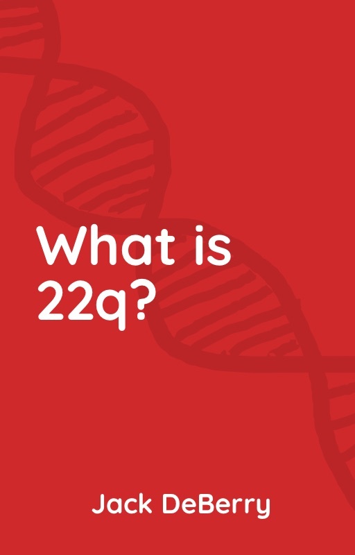What is 22q?