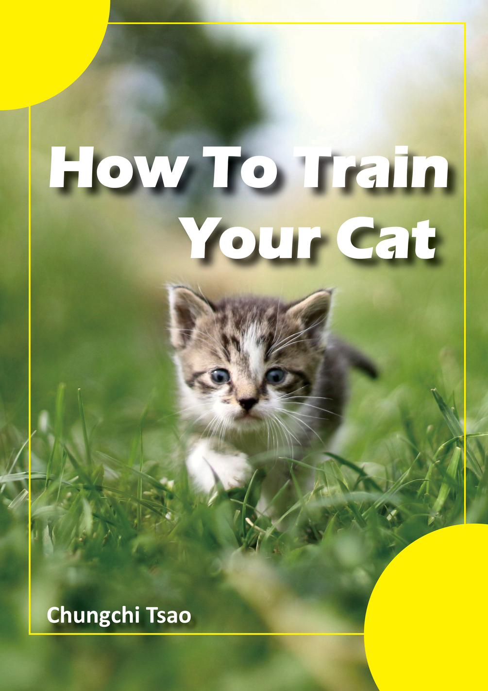 How to train your cat